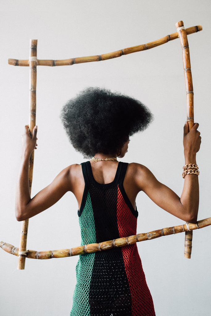 Pride of Jamaica - Janice Reid – FFOTO