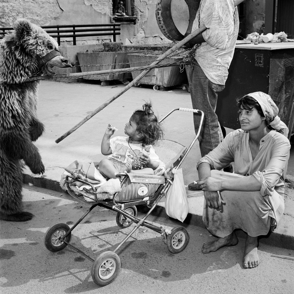 Muzzled Bear, Belrade, Yugoslavia [Serbia] - Rosalind Fox Solomon – FFOTO